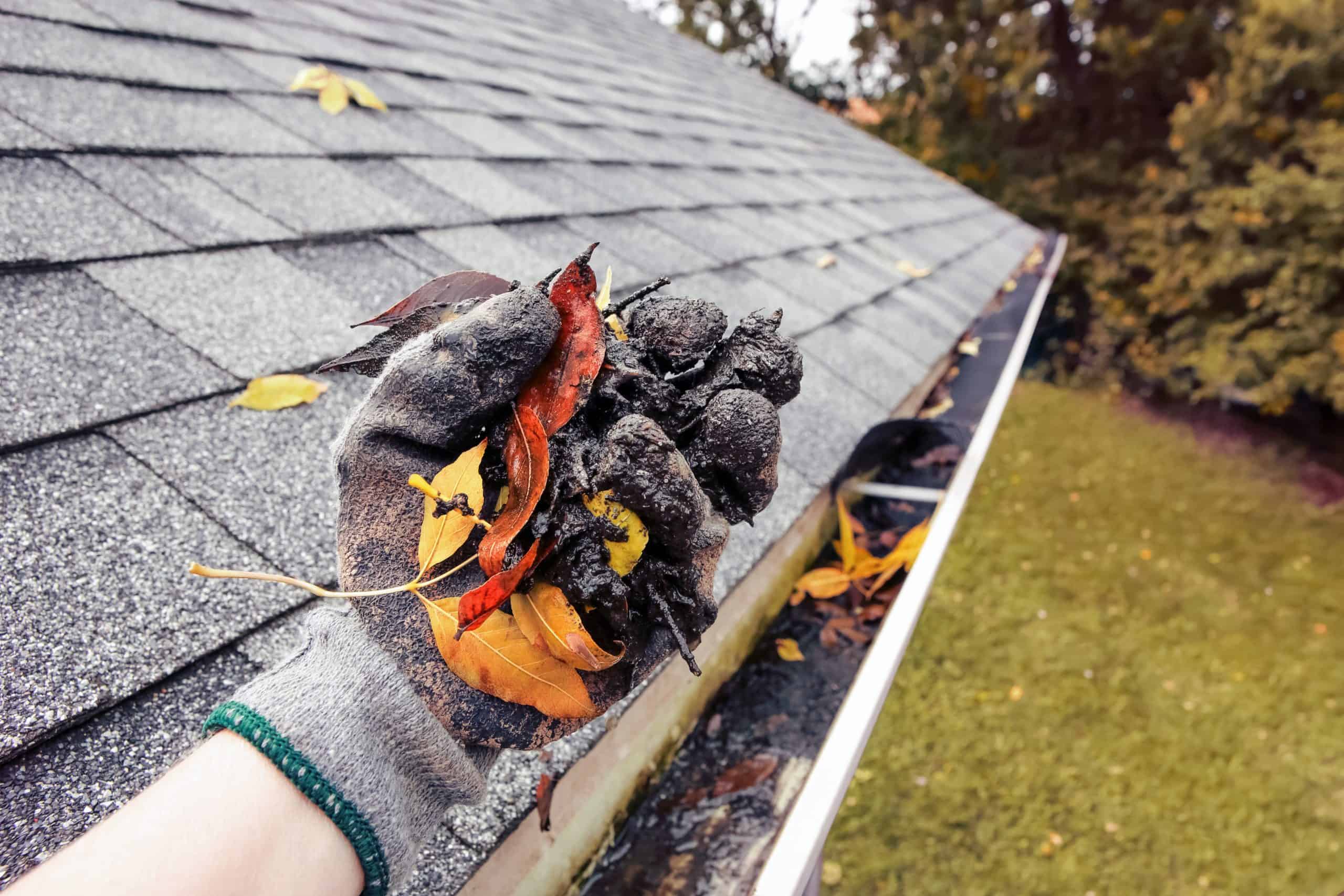 Beyond Leaves: Unseen Gutter Debris | Harris County, TX